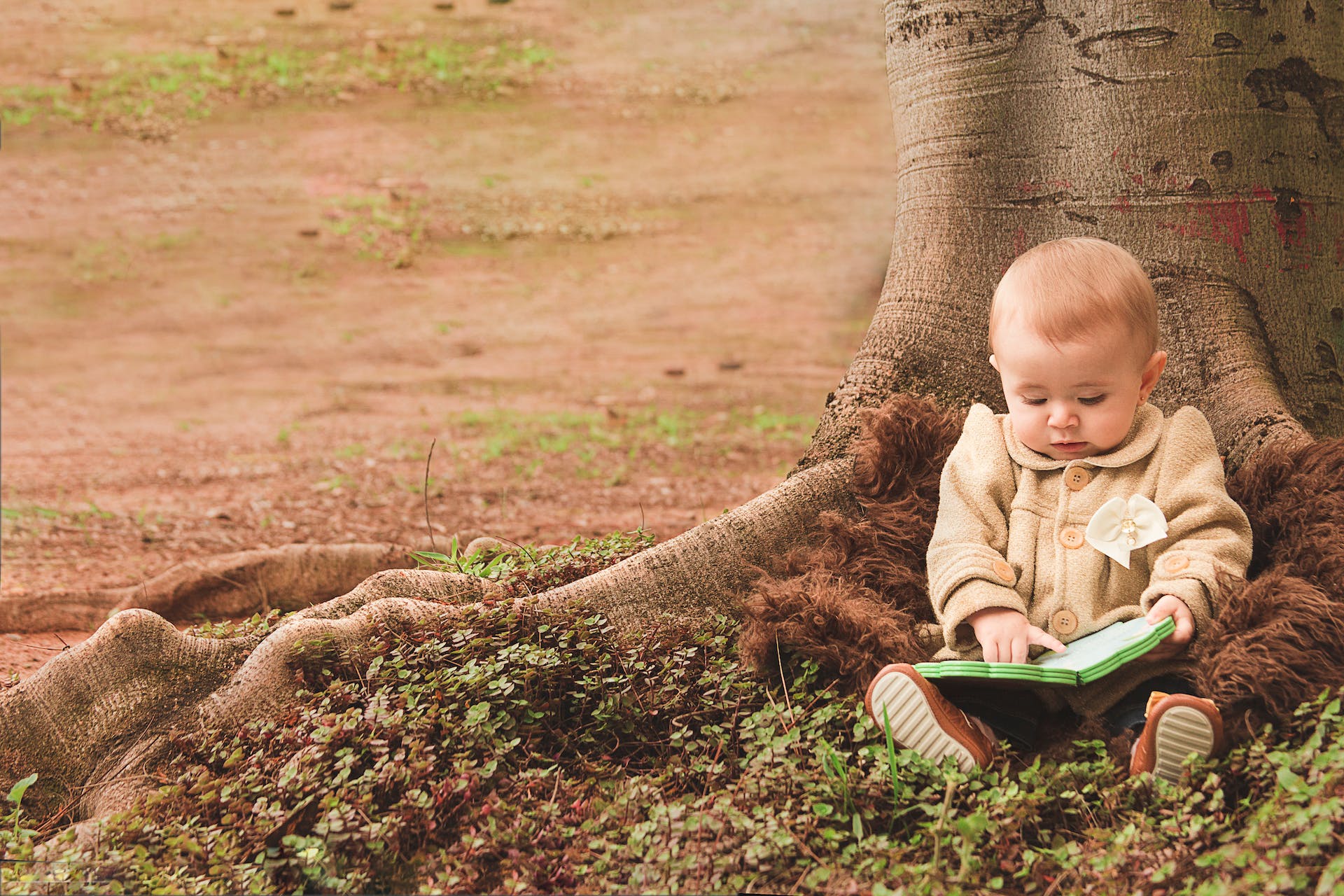 Engage Your Baby's Mind with These Top Activity Books | 123 Baby Box